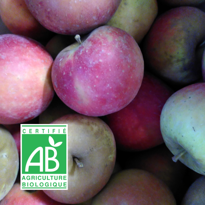 Fruits et légumes en direct du producteur