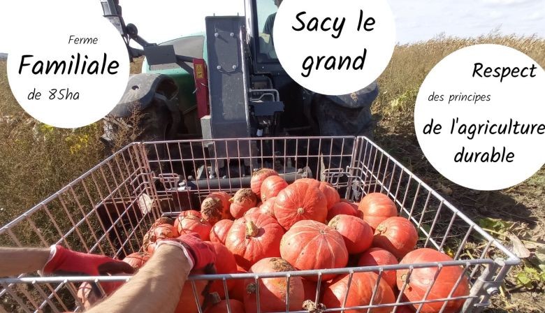 Fruits et légumes en direct du producteur